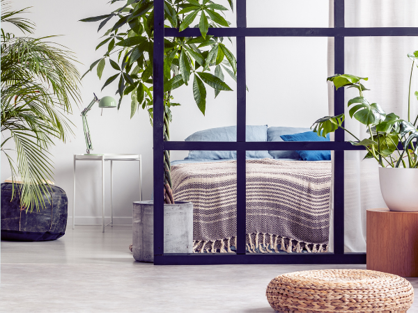Go wild with urban jungle interior design | Seeff Blog